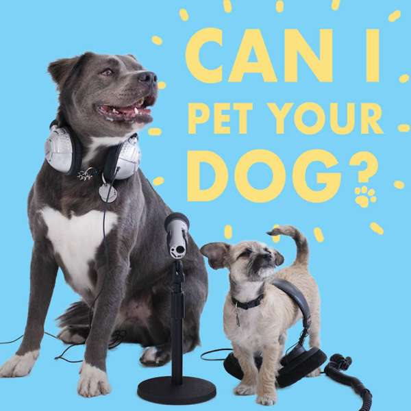 Can I Pet Your Dog TopPodcast Can I Pet Your Dog TopPodcast